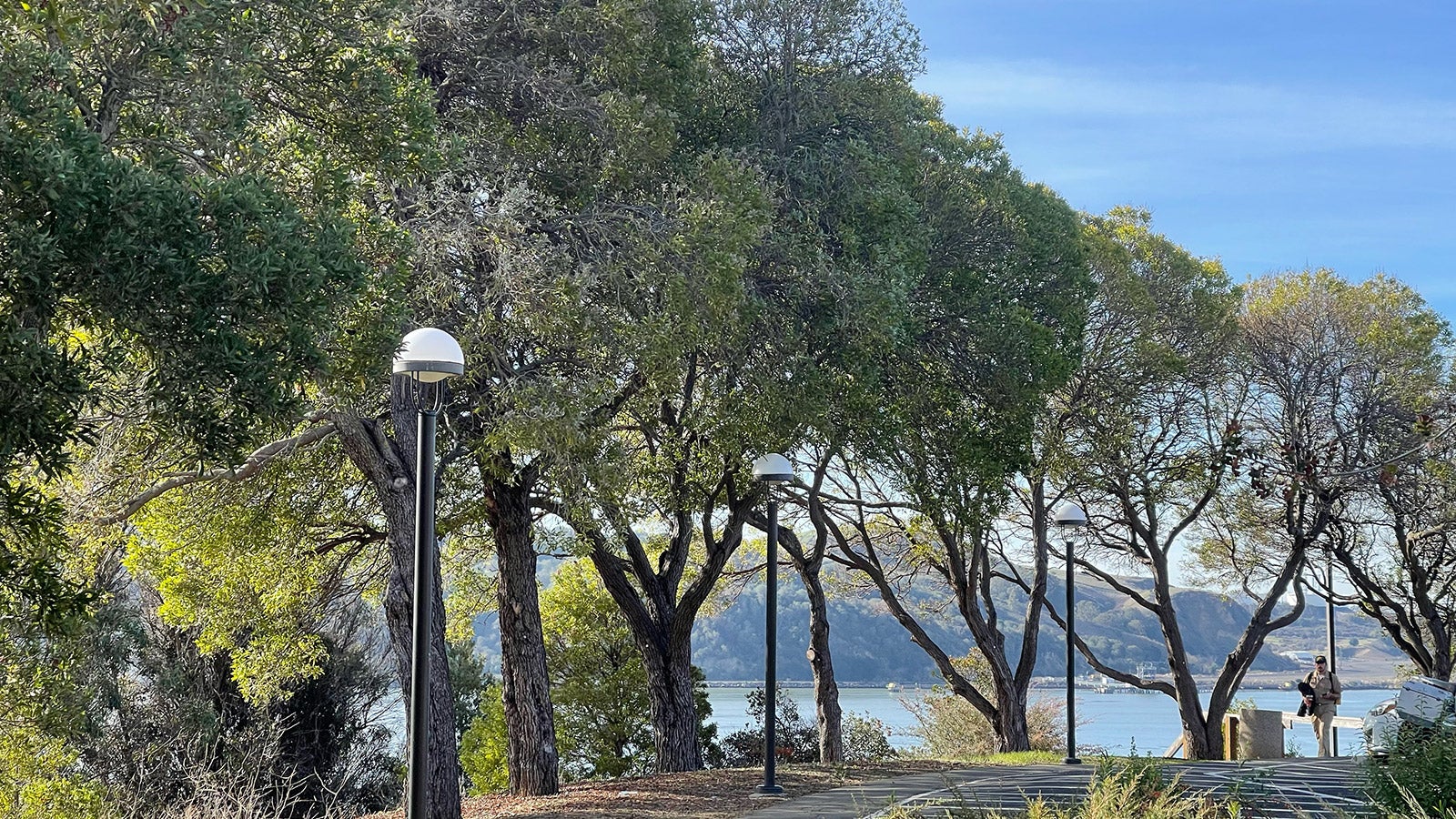 Undergraduate Programs | Cal Poly Maritime Academy